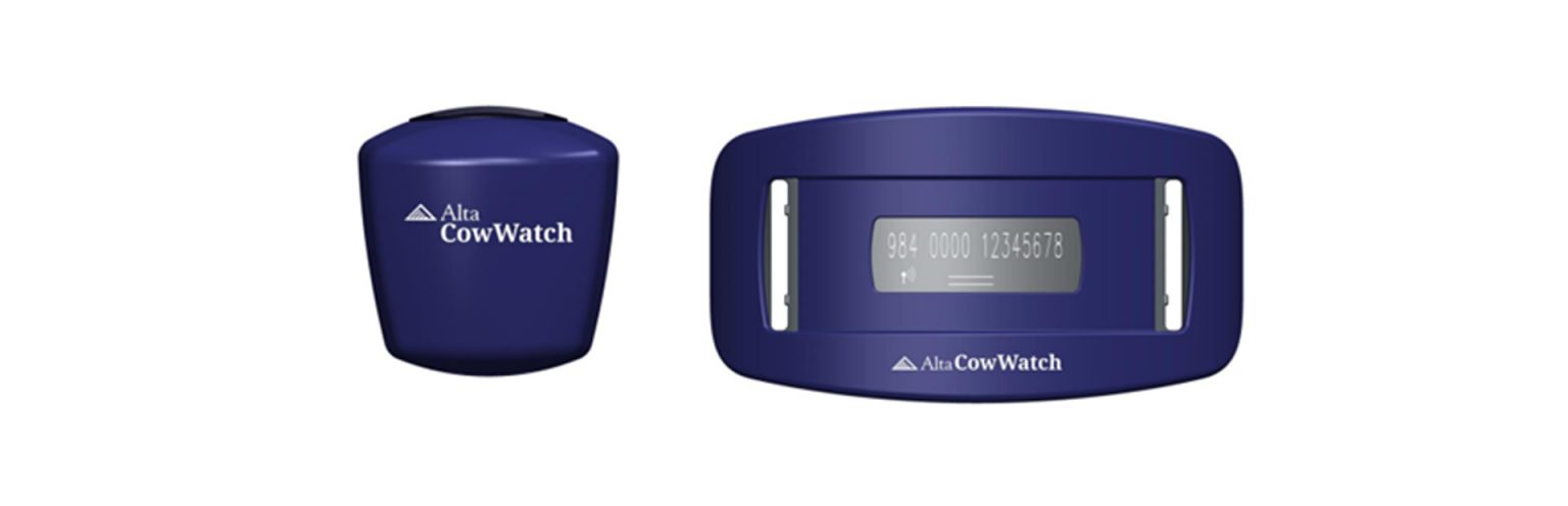 Alta COW WATCH - Semex PK BB